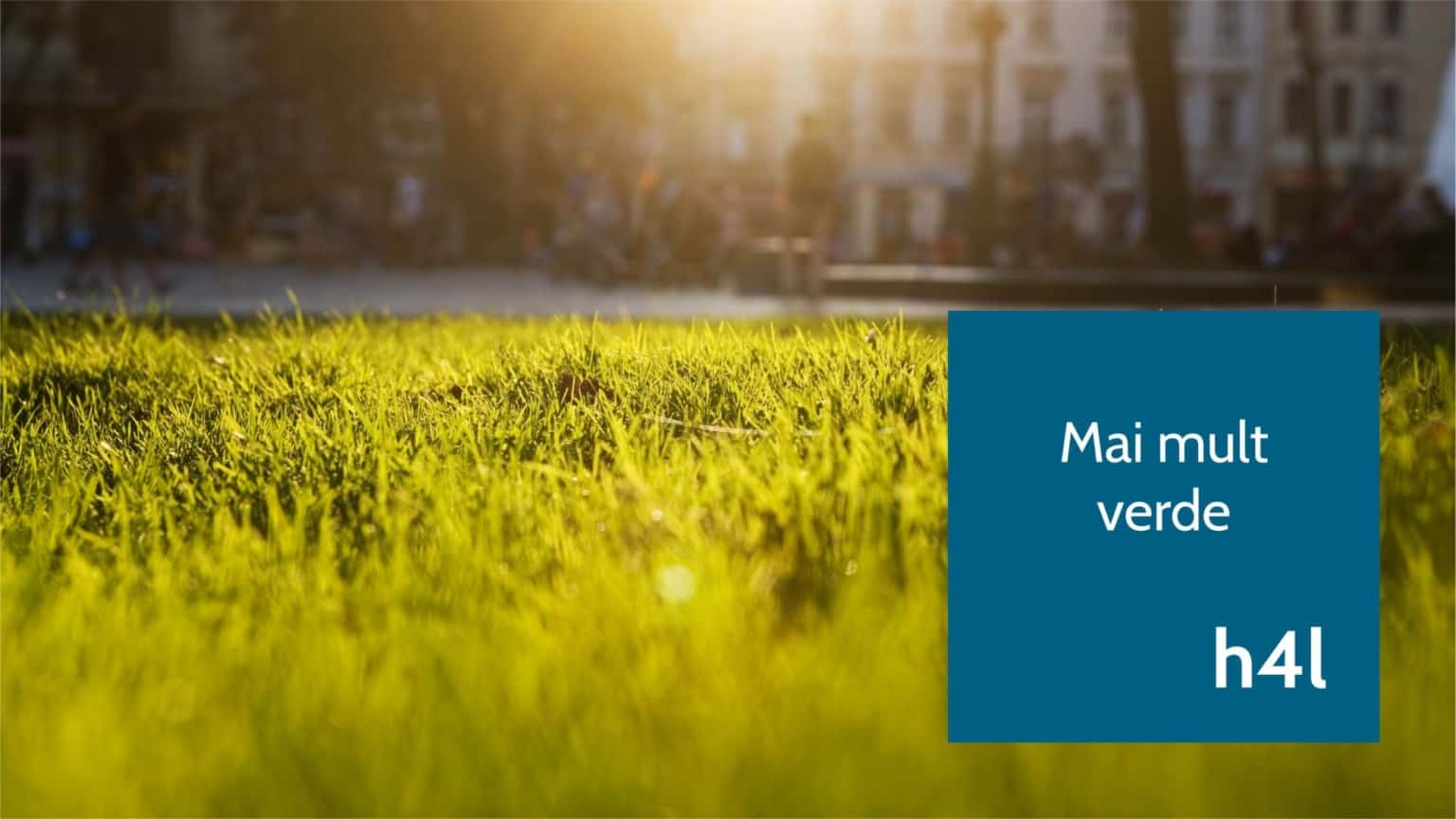 h4l - the neighborhood that brings joy into life - Toud